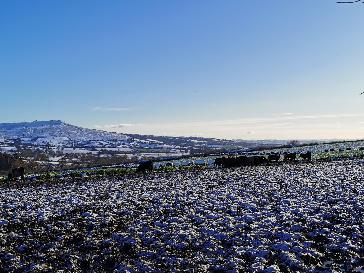 Evesham - BBC Weather