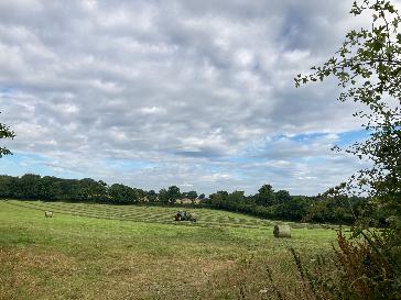 Exeter - BBC Weather