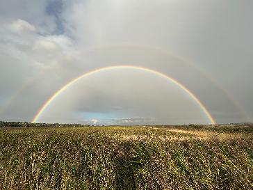 Norwich - BBC Weather