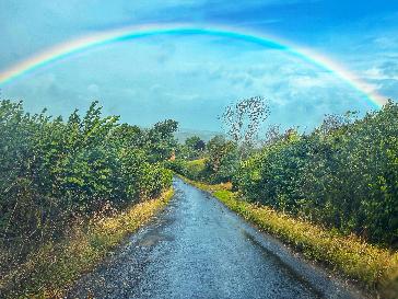 Buckley - BBC Weather