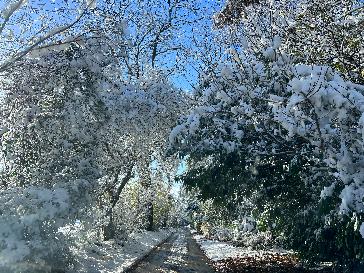 Wolverhampton Airport - BBC Weather