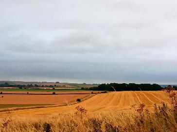 Trowbridge - BBC Weather