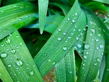 Evesham - BBC Weather