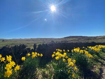 Abbots Bromley - BBC Weather