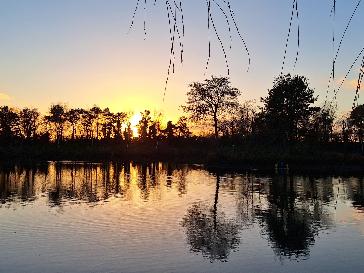 Belper - BBC Weather