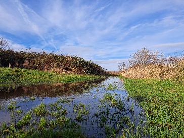 Denton - BBC Weather