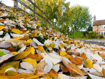 Burton - BBC Weather