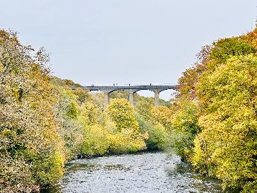 Buckley - BBC Weather
