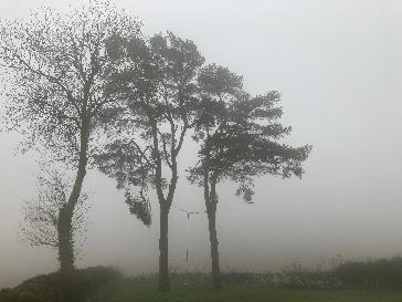 Exmouth - BBC Weather