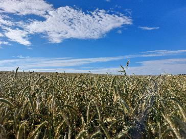 Norwich - BBC Weather