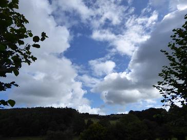 Buckley - BBC Weather