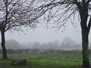 Bingley - BBC Weather