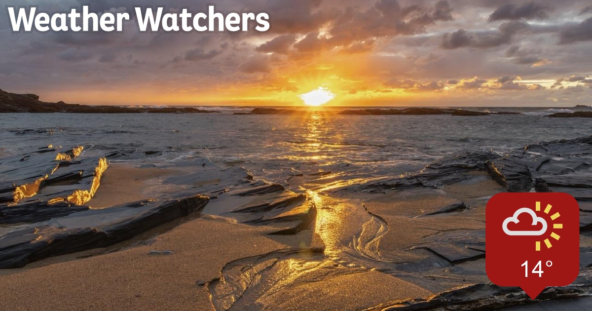 Report - BBC Weather Watchers