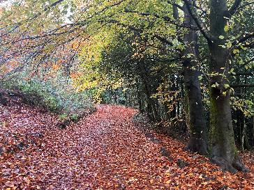 Tyldesley - BBC Weather