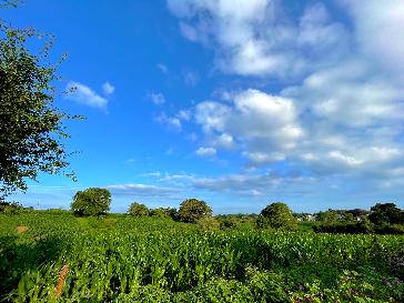Guernsey Airport - BBC Weather