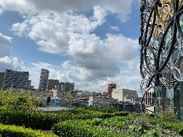 Halesowen - BBC Weather