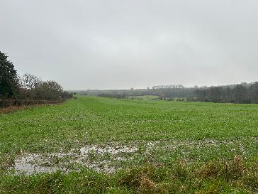 Chippenham - BBC Weather