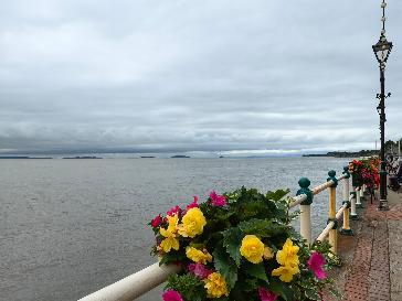 Cardiff - BBC Weather