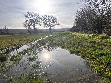 Gloucester - BBC Weather