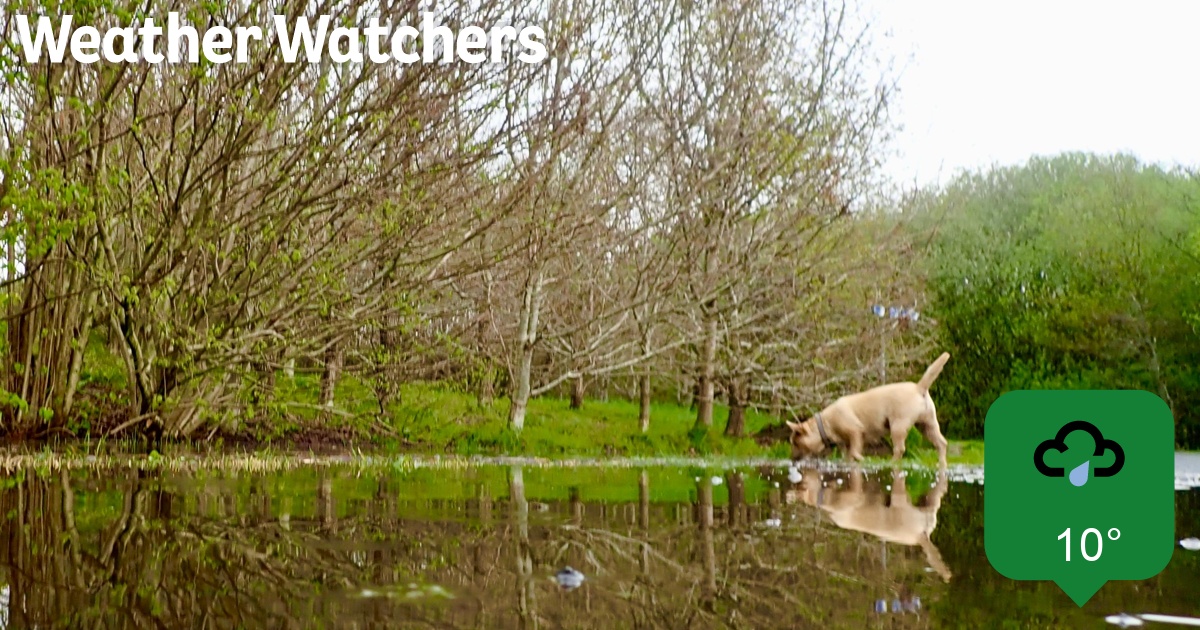 Report - BBC Weather Watchers