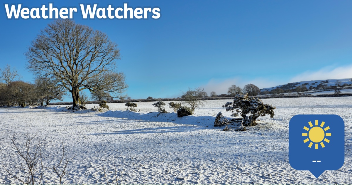 Report - BBC Weather Watchers