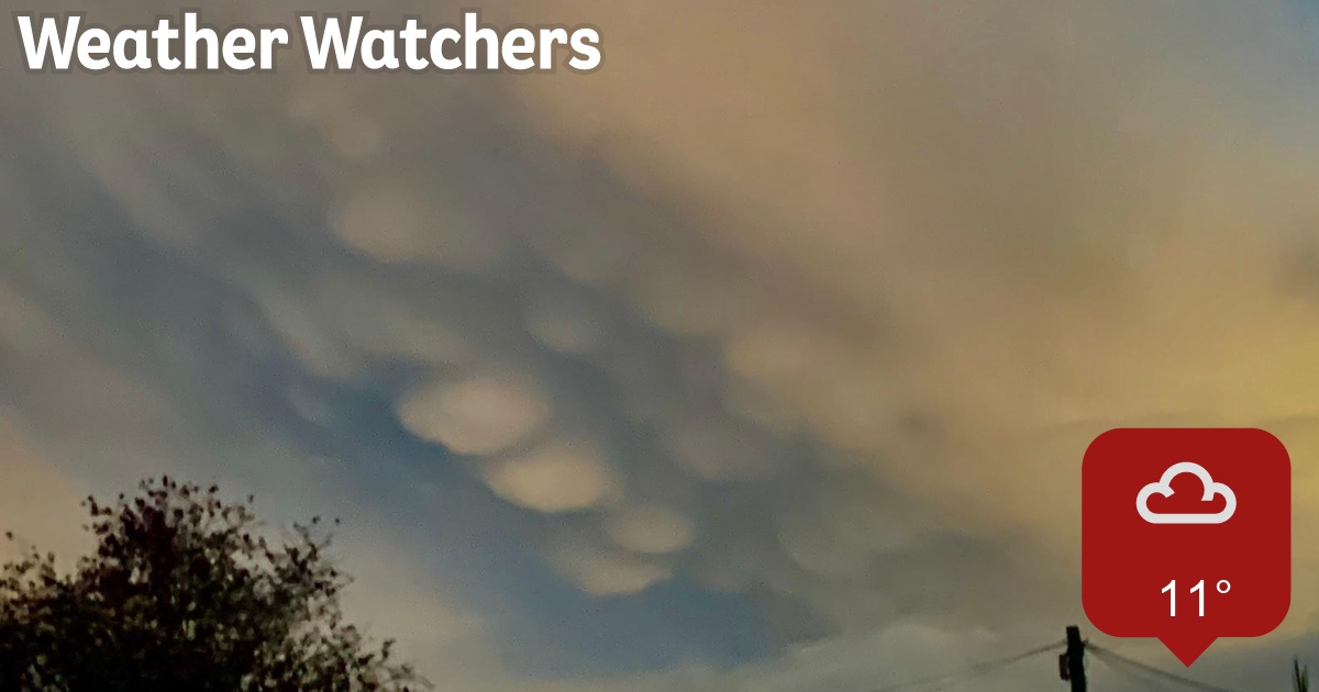 Report - BBC Weather Watchers