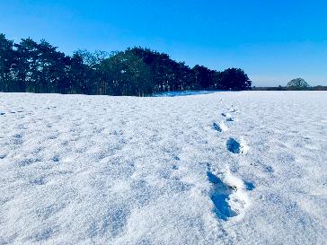 Cromer - BBC Weather
