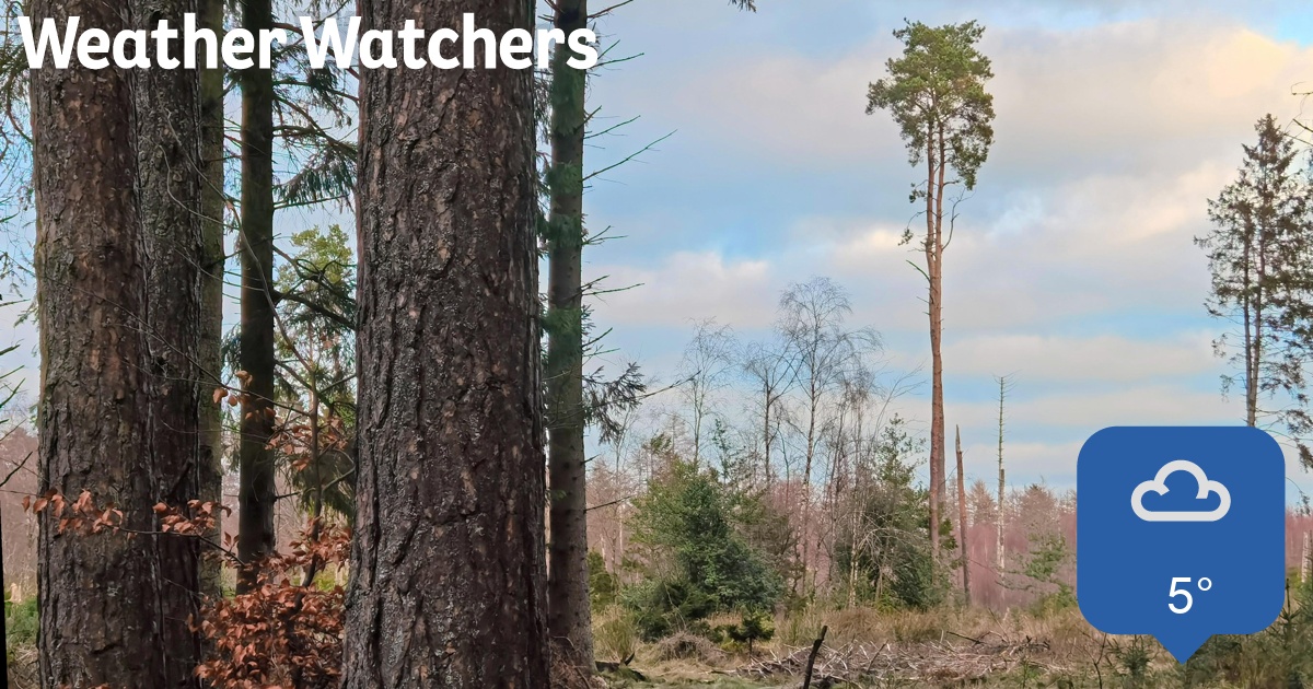 Report - BBC Weather Watchers
