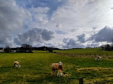 Aberdeen - BBC Weather