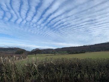 Middlesbrough - BBC Weather