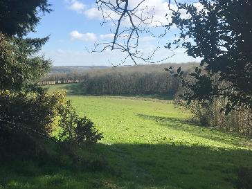 Swindon - BBC Weather