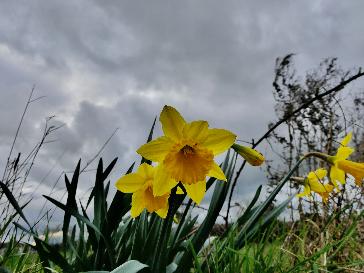 March - BBC Weather