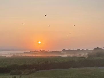 Ashburton - BBC Weather