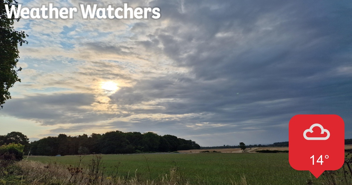 Report - BBC Weather Watchers