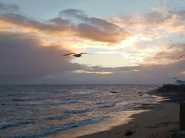 Arbroath - BBC Weather
