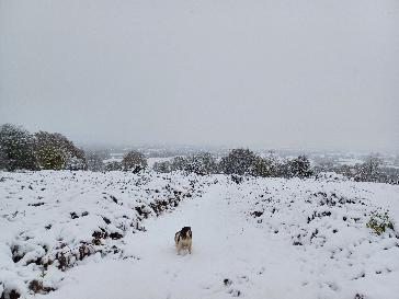 Redditch - BBC Weather