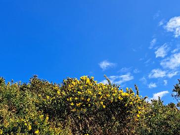 Dunblane - BBC Weather