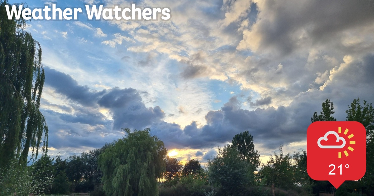 Report - BBC Weather Watchers
