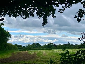 Redditch - BBC Weather