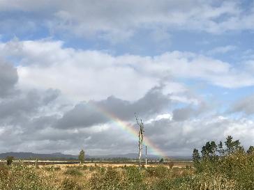Stirling - BBC Weather