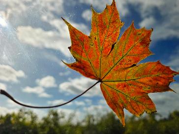 Norwich - BBC Weather