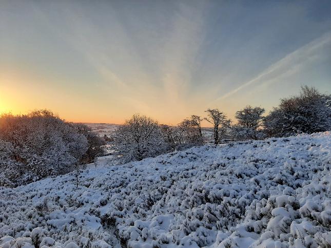 Report - BBC Weather Watchers