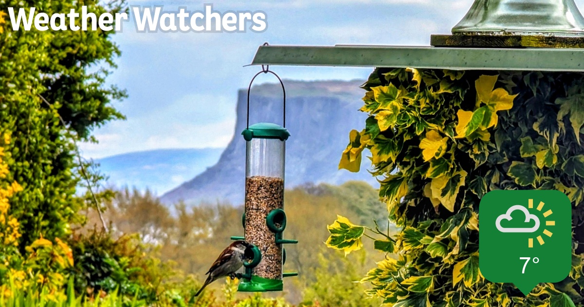 Report - BBC Weather Watchers