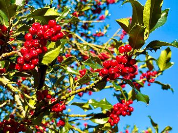 Brighton - BBC Weather