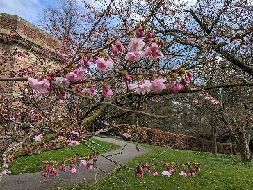 Skipton - BBC Weather