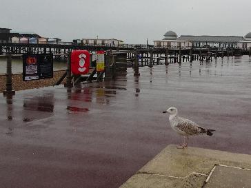 Crawley - BBC Weather