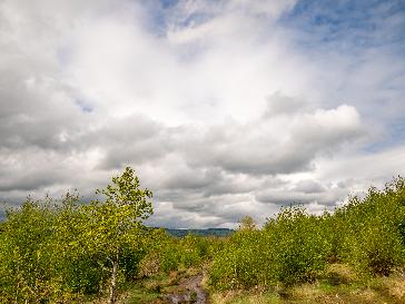 Telford - BBC Weather