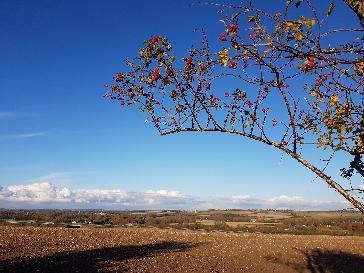 Colchester - BBC Weather