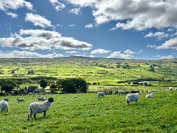 Harrogate - BBC Weather