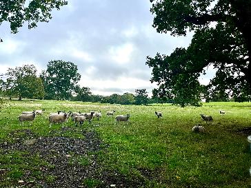 Oldbury - BBC Weather